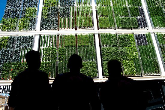 People Front Vertical Fields Usa Pavilion Editorial Stock Photo - Stock ...