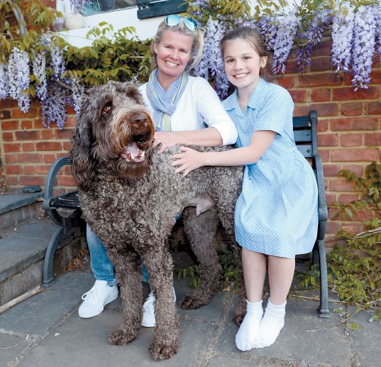 Emma Wilding Frankie Wilding 10 Labradoodle Editorial Stock Photo ...