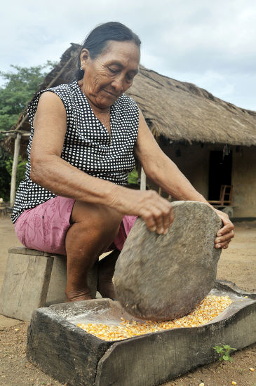 Old Farmer Grinding Corn Traditional Mortar Editorial Stock Photo ...