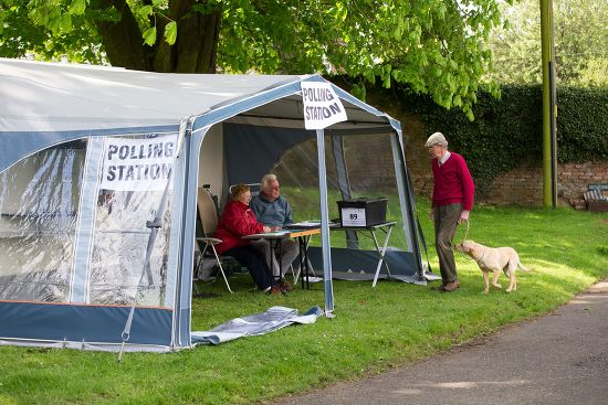Robin Wylie His Dog Peggy Voting Editorial Stock Photo - Stock Image ...