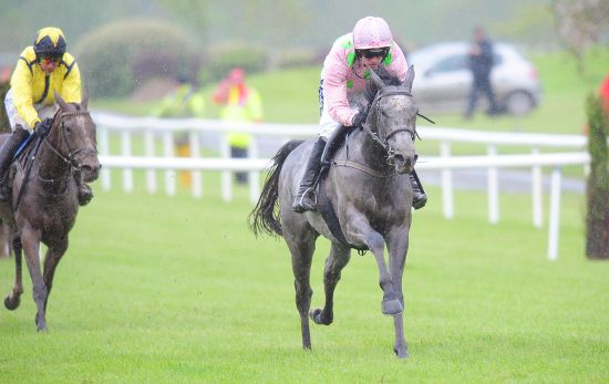 Killarney Karalee Ruby Walsh Beats Sophies Editorial Stock Photo ...