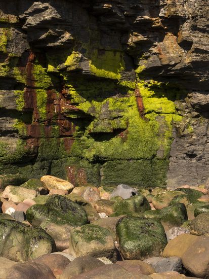 Detail Cliffs Rocks Sandsend Editorial Stock Photo - Stock Image ...