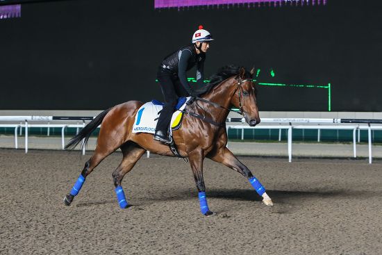 Aerovelocity Early Morning Trackwork Singapore International Editorial ...