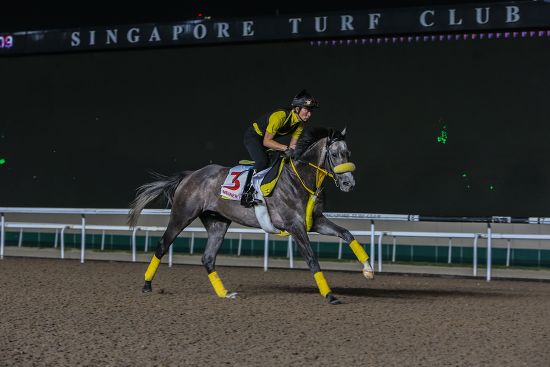 Meiner Frost Ar Early Morning Trackwork Editorial Stock Photo - Stock ...