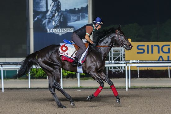 Freee Port Lux Early Morning Trackwork Editorial Stock Photo - Stock ...