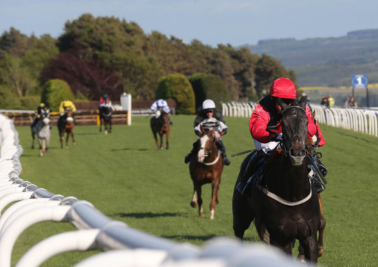 Tickenwolf Joe Colliver Win Hexham Editorial Stock Photo - Stock Image ...