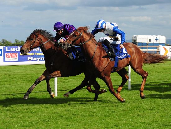 Fairyhouse Miss Elizabeth Wayne Lordan Left Editorial Stock Photo ...