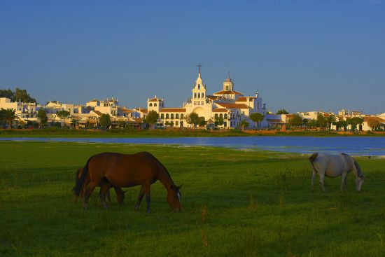 El Rocio Village Ermita Del Rocio Editorial Stock Photo - Stock Image ...