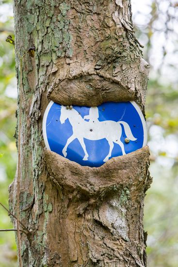Sign Bridleway Grown Tree Essen North Editorial Stock Photo - Stock ...