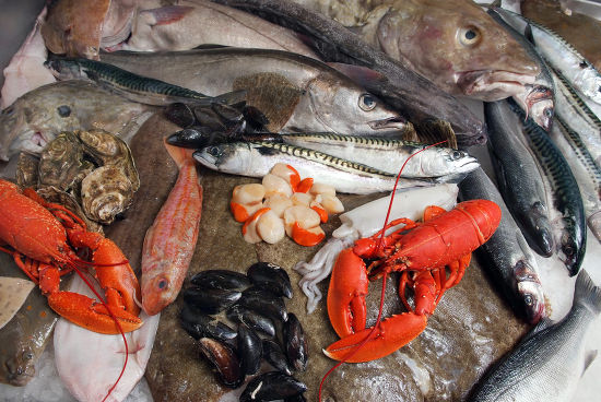 Fishmongers Display Fish Shellfish Cornwall Editorial Stock Photo ...