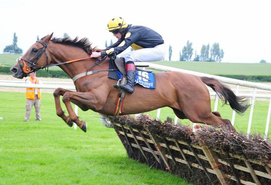 Clonmel Supreme Benefit Adam Oneill Win Editorial Stock Photo - Stock ...