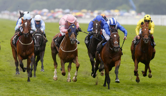 Mahsoob Paul Hanagan Blue White Winning Editorial Stock Photo - Stock ...