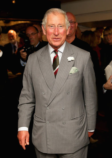 Prince Charles Smiles After Playing Darts Editorial Stock Photo - Stock ...