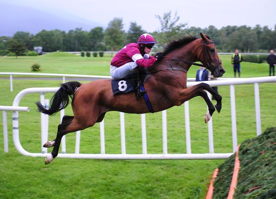 Killarney Enjoy Responsibly David Mullins Jump Editorial Stock Photo ...