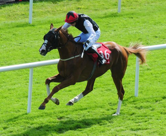 Galway Time Inspire Finian Maguire Win Editorial Stock Photo - Stock ...