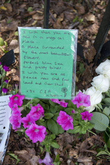 Flowers Outside Hilversums Korporaal Van Oudheusden Editorial Stock ...