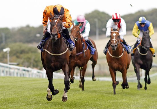 Queen Aggie George Downing Wins Ebf Editorial Stock Photo - Stock Image ...