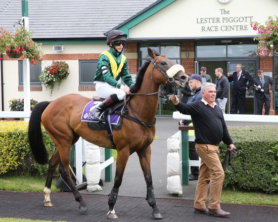 Pick Pocket Connor Murtagh Win Pony Editorial Stock Photo - Stock Image ...