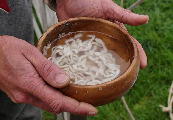 Sheep Intestines Used String Elizabethan Instruments Redaktionelles ...