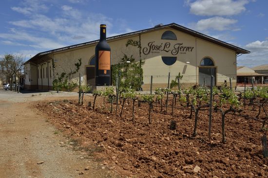 Grapevines Front Building Bodega Jose L Editorial Stock Photo - Stock ...