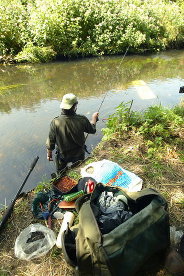Trout Fishing On River Wandle London Editorial Stock Photo - Stock ...