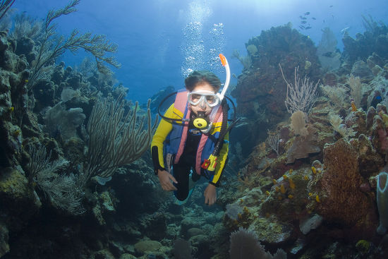 Model Released Mother Daughter Scuba Diving Editorial Stock Photo ...