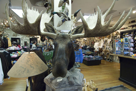 Stuffed Elk Store Along Other Kitsch Editorial Stock Photo - Stock ...