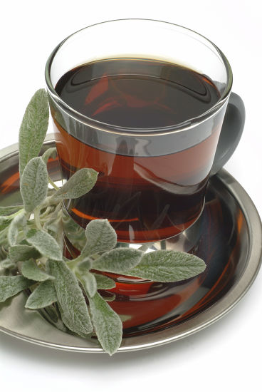 Ironwort Mountain Tea Sideritis Syriaca Tea Editorial Stock Photo ...