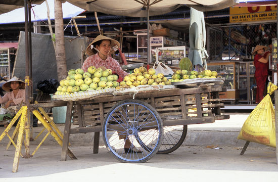 Mango Vendor Market Mekong Delta Vietnam Editorial Stock Photo - Stock ...