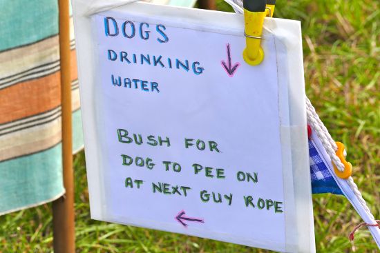 Funny Dog Water Sign Editorial Stock Photo - Stock Image | Shutterstock