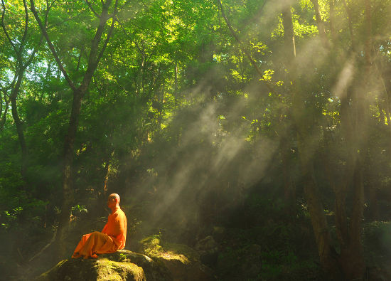 Monks Chanyuan Temple Tianmu Mountains Sit Editorial Stock Photo ...