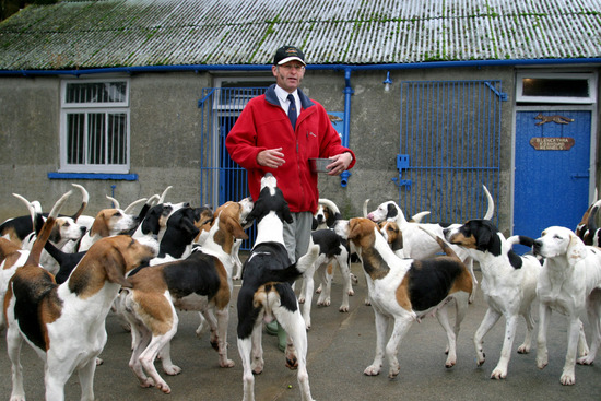 Barry Todhunter Master Blencathra Foxhounds Known Editorial Stock Photo ...