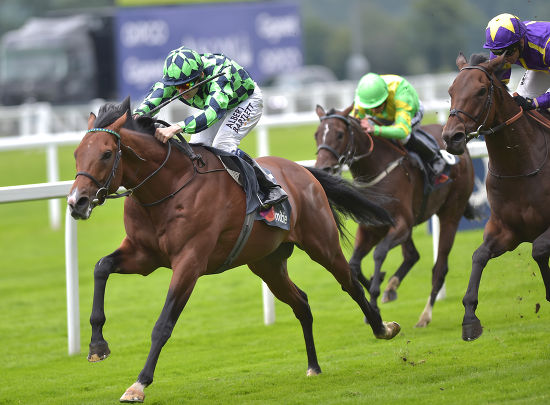 Richard Yorke Jamie Spencer Wins Mitie Editorial Stock Photo - Stock ...