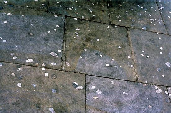 Chewing Gum Dropped On Pavement Islington Editorial Stock Photo - Stock ...