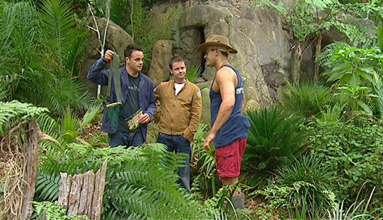 Ant Mcpartlin Declan Donnelly Paul Burrell Editorial Stock Photo ...