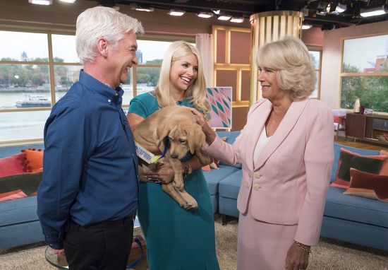 Camilla Duchess Cornwall Meets Phillip Schofield Editorial Stock Photo ...