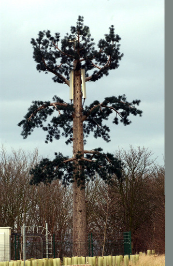 Mobile Phone Mast Disguised Tree Editorial Stock Photo - Stock Image ...