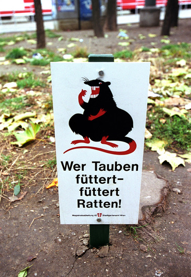 Do Not Drop Food Feed Rats Editorial Stock Photo - Stock Image ...