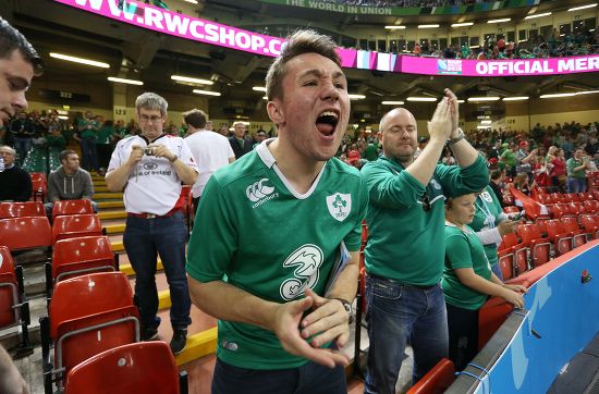 Irish Fan Shows His Passion Team Editorial Stock Photo - Stock Image ...