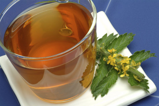 Medicinal Tea Common Agrimony Eupatoria Editorial Stock Photo - Stock ...