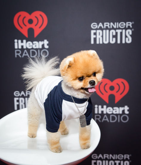 Jiff Pom Editorial Stock Photo - Stock Image | Shutterstock