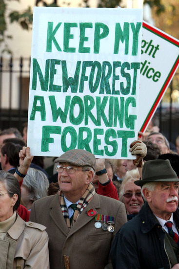 Pro Fox Hunting Protest Whitehall Cabinet Editorial Stock Photo - Stock ...