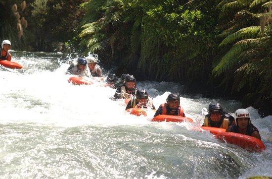 White Water Sledging Rotorua New Zealand Editorial Stock Photo - Stock ...