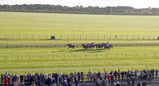 Karaka Jack Pat Dobbs Wins Shadwell Editorial Stock Photo - Stock Image ...