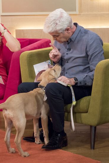 Phillip Schofield Clover Editorial Stock Photo - Stock Image | Shutterstock