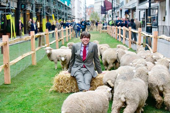 Alex James Sheep Editorial Stock Photo - Stock Image | Shutterstock