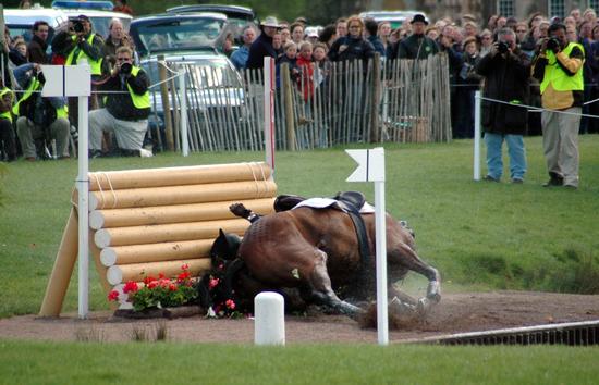 Rider Crushed By Her Horse Falling Editorial Stock Photo - Stock Image ...