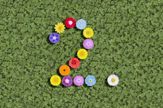 Numbers Written Flowers Editorial Stock Photo - Stock Image | Shutterstock