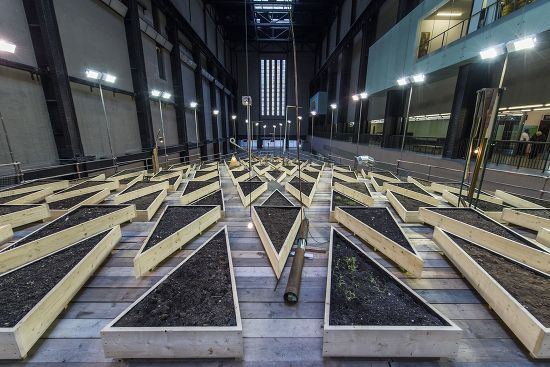 Earth Filled Troughs Will Be Watered Editorial Stock Photo - Stock ...