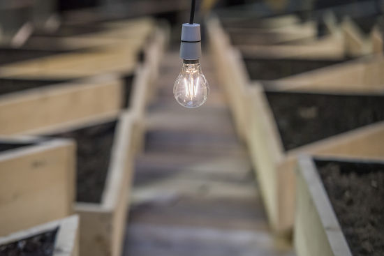 Earth Filled Troughs Will Be Watered Editorial Stock Photo - Stock ...